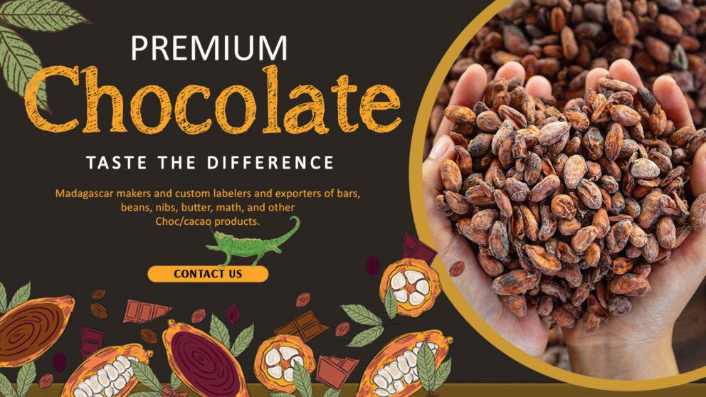 Buy Madagascar Cacao Beans directly from Ambanja, Madagascar